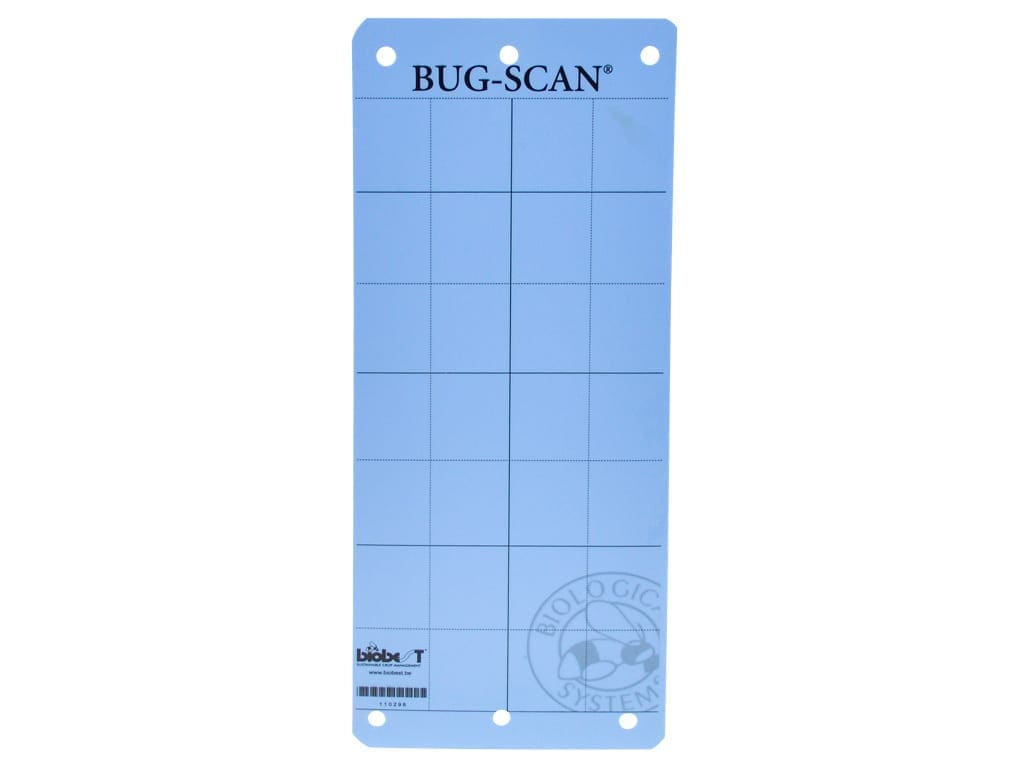 BB Sticky Trap Blue NHS Plus (25x10cm) (20 traps/pack) | Bugs For Bugs