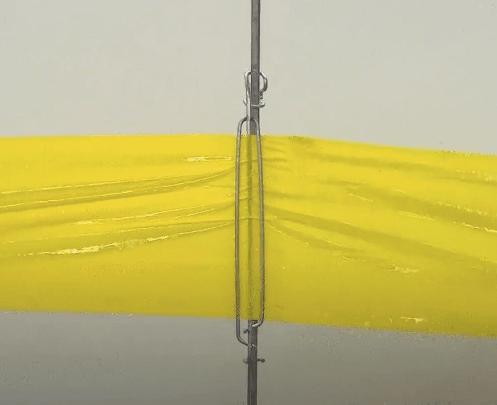 Bug Scan Roll Wire Clip (Pack of 10) | Bugs For Bugs