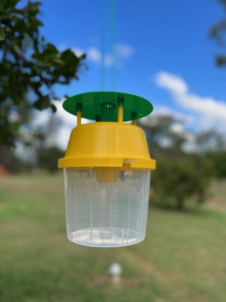 Bucket trap | Bugs For Bugs