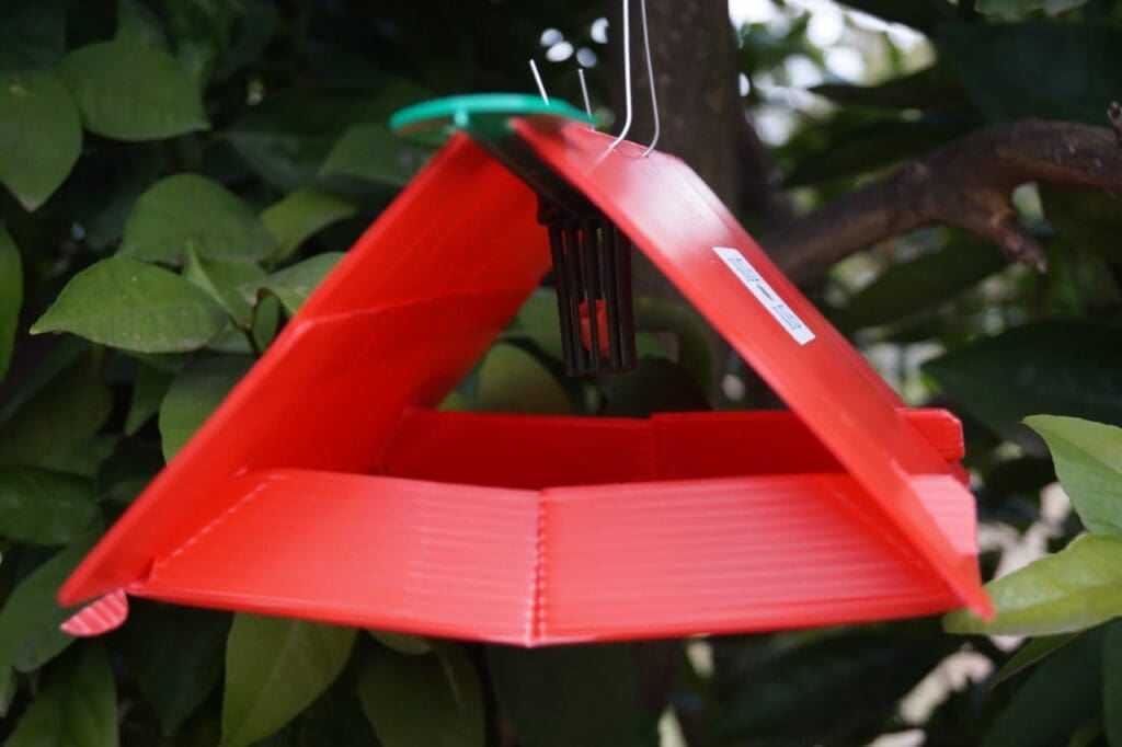 Delta trap kit | Bugs For Bugs