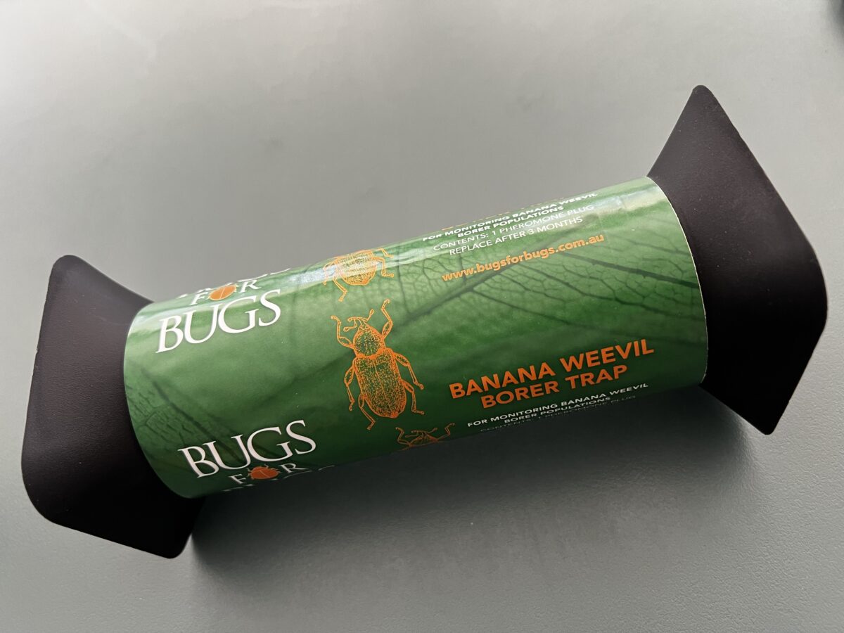 Banana Weevil Borer Funnel Trap Kit (10 Pack) | Bugs For Bugs