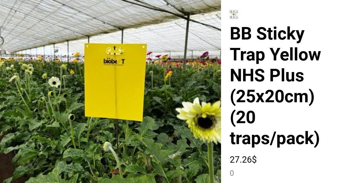 BB Sticky Trap Yellow Plus (25x20cm) (20 traps/pack) | Bugs For Bugs