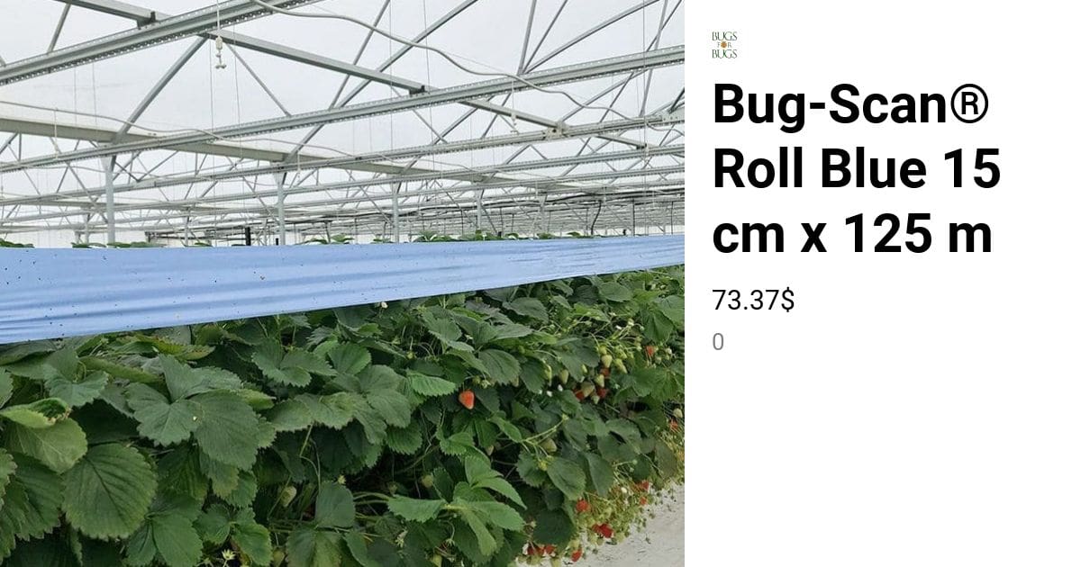 Bug Scan Roll Blue (15cm x 125m) | Bugs For Bugs